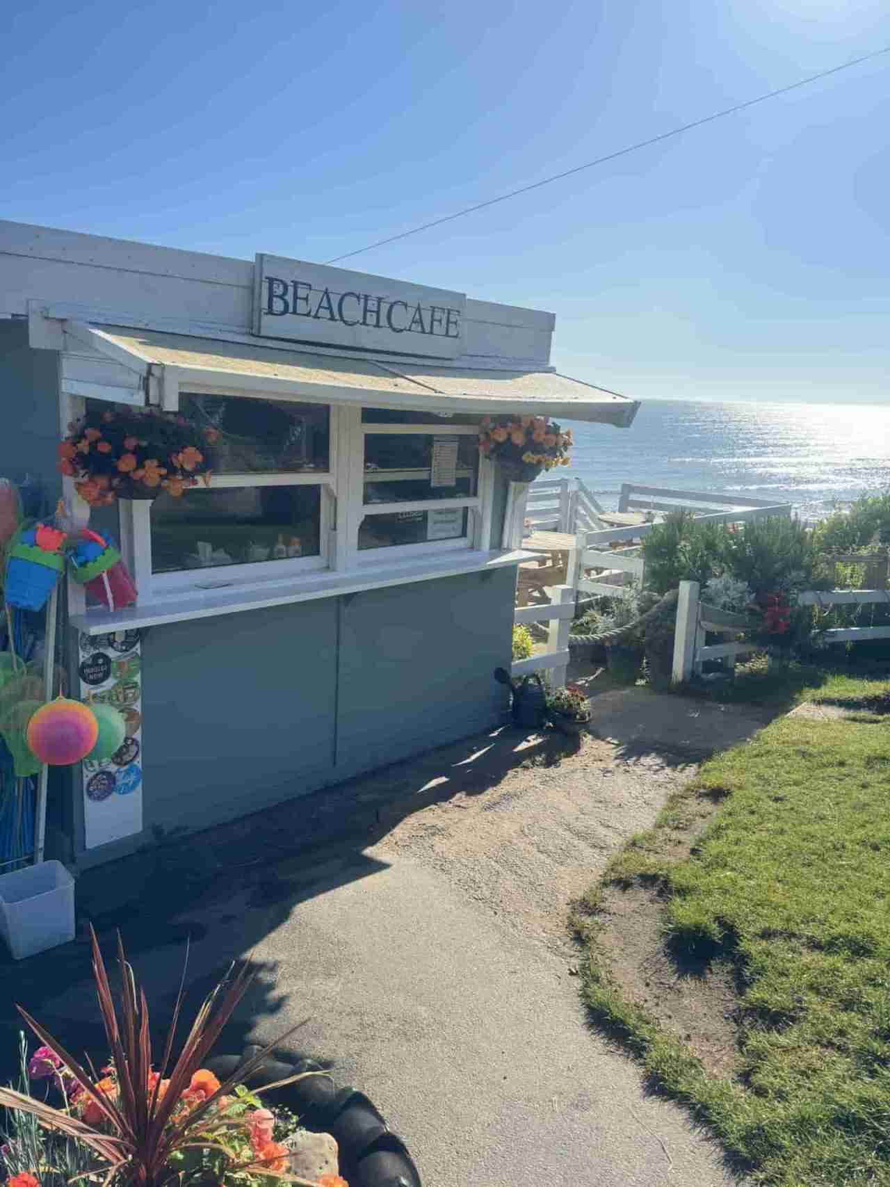 Dog Friendly: 10 Best Things To Do In Filey With A Dog - Dog Dad