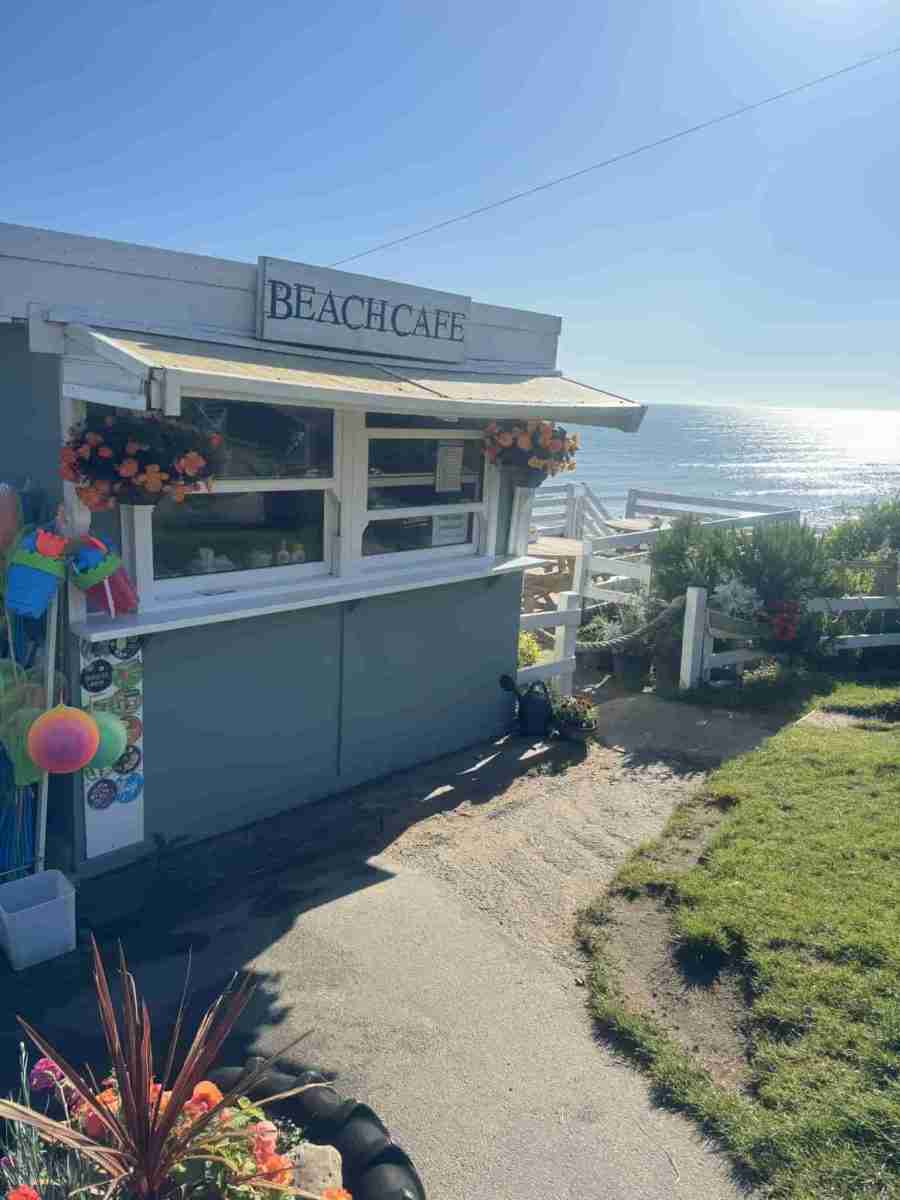 Dog Friendly: 10 Best Things To Do In Filey With A Dog - Dog Dad